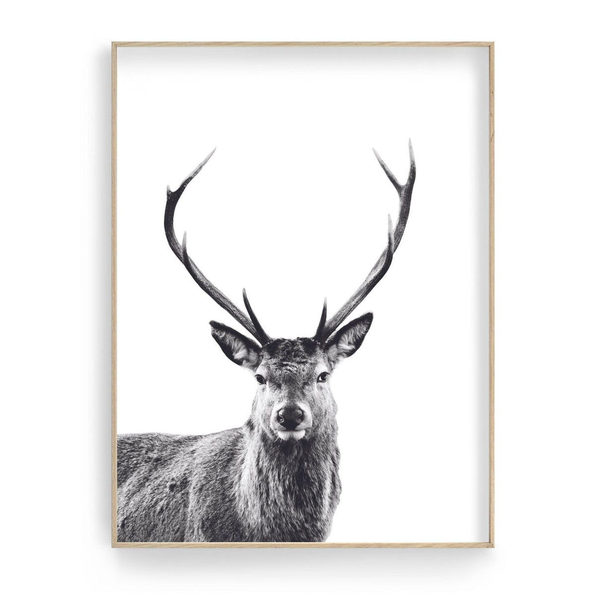 Hirsch Poster | schwarz weiß | Foto Kunstdruck – Roo's Gift Shop